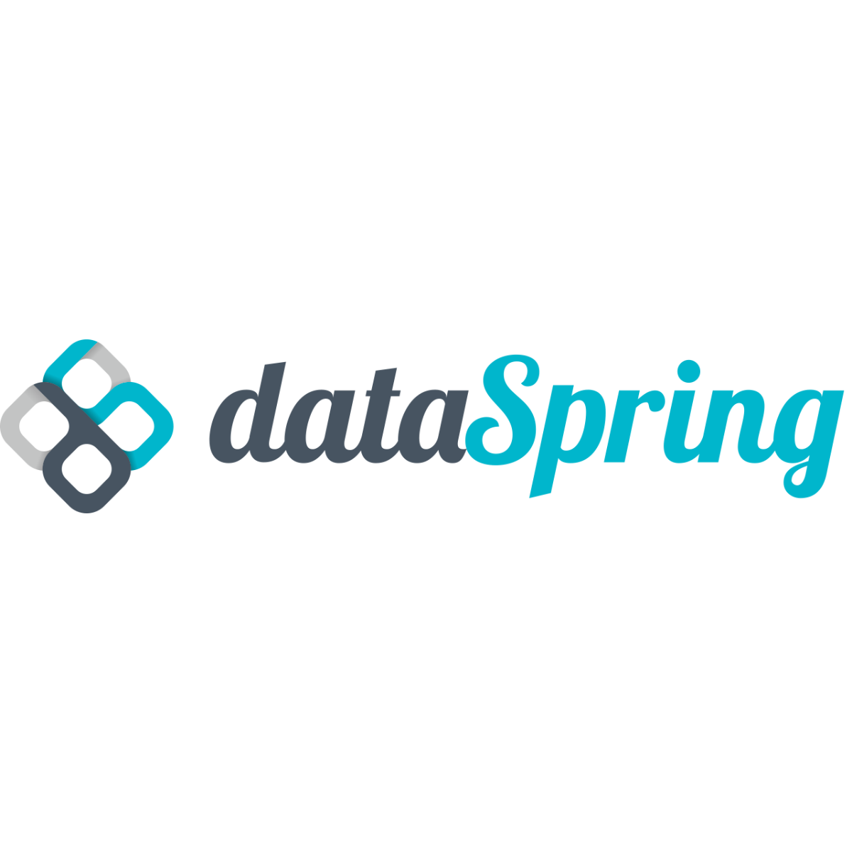 Research Panel Asia Inc. Launches surveyon Partners