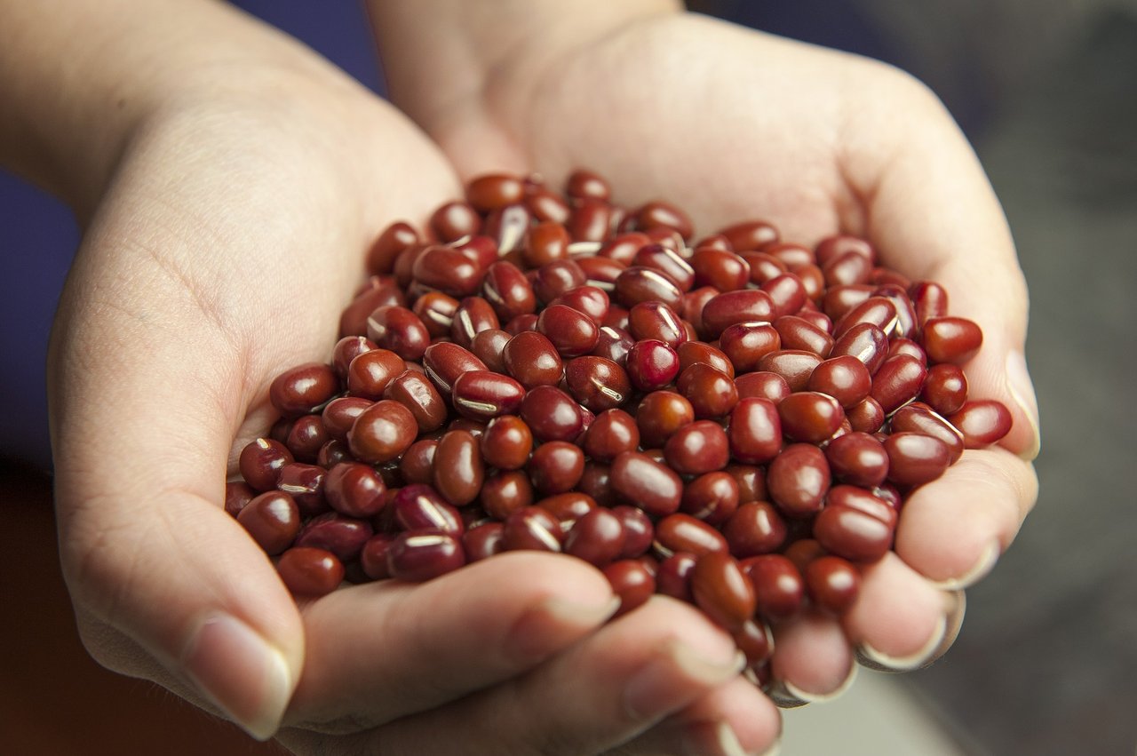 3 Reasons Why the Red Bean is Taking Over Taiwan | EYE ON ASIA