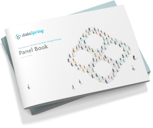 Services | dataSpring