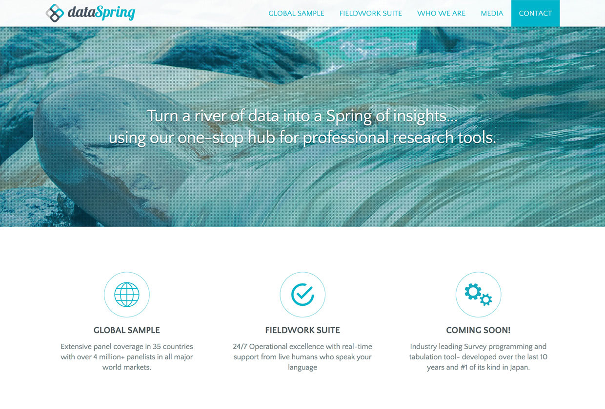 dataSpring: Global Sample & Survey Tools for Researchers
